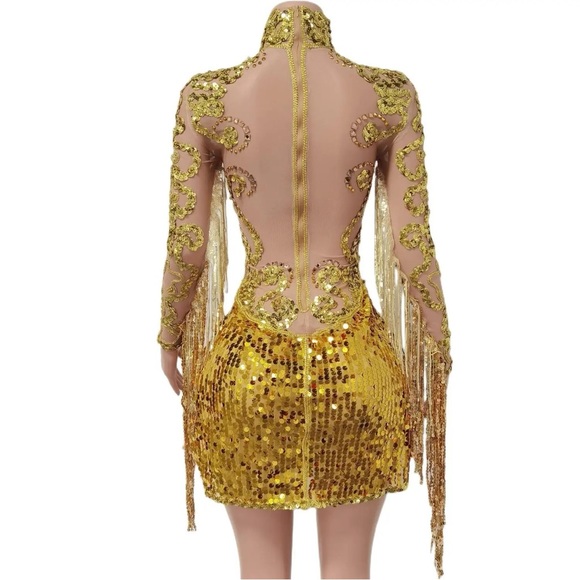 LuxFashionGalleria | Dresses | Sequins Embroidered Sheer Mini Party ...